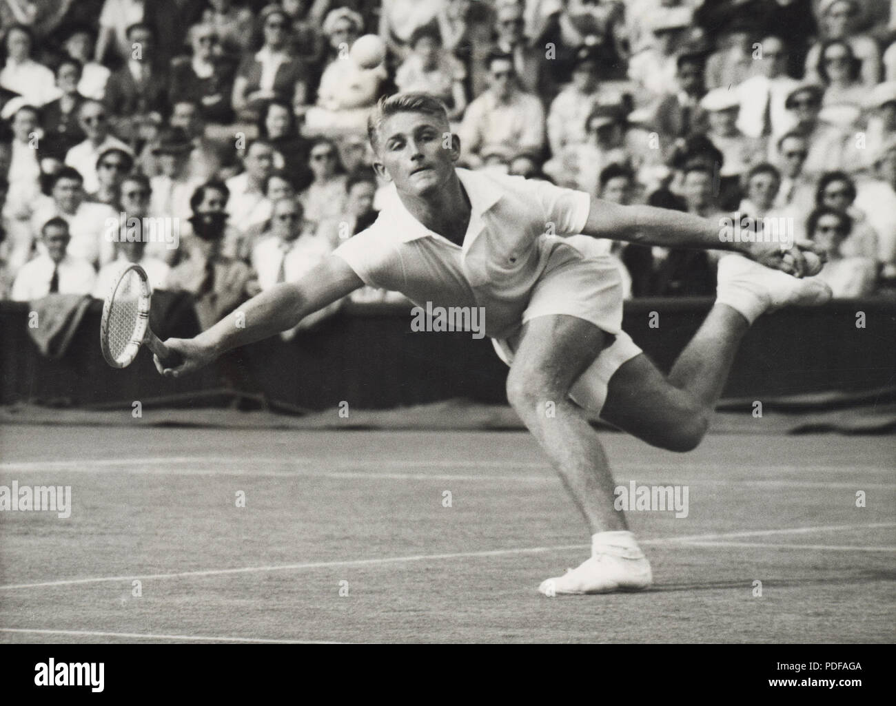 Lew hoad hi-res stock photography and images - Alamy