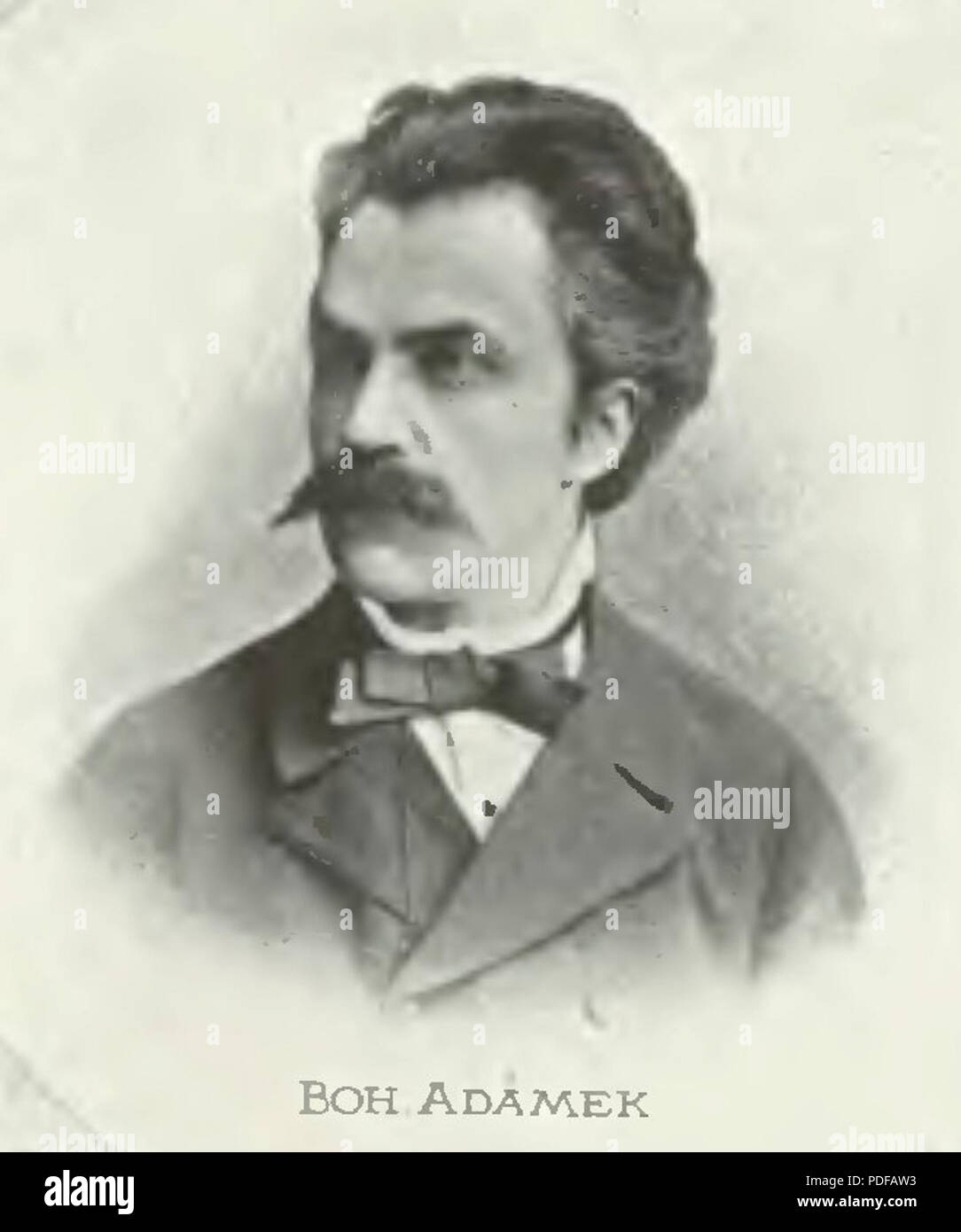 Adamek hi-res stock photography and images - Alamy