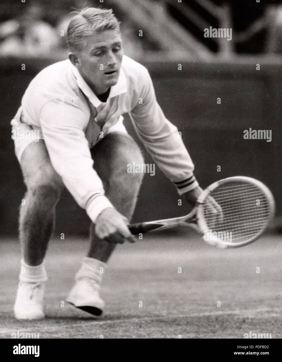 79 Lew Hoad 1954 Kooyong Stock Photo - Alamy