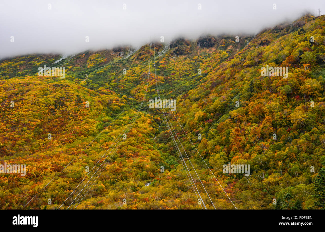 Mountain scenery at autumn in Tateyama Kurobe Alpine Route, Japan Stock ...