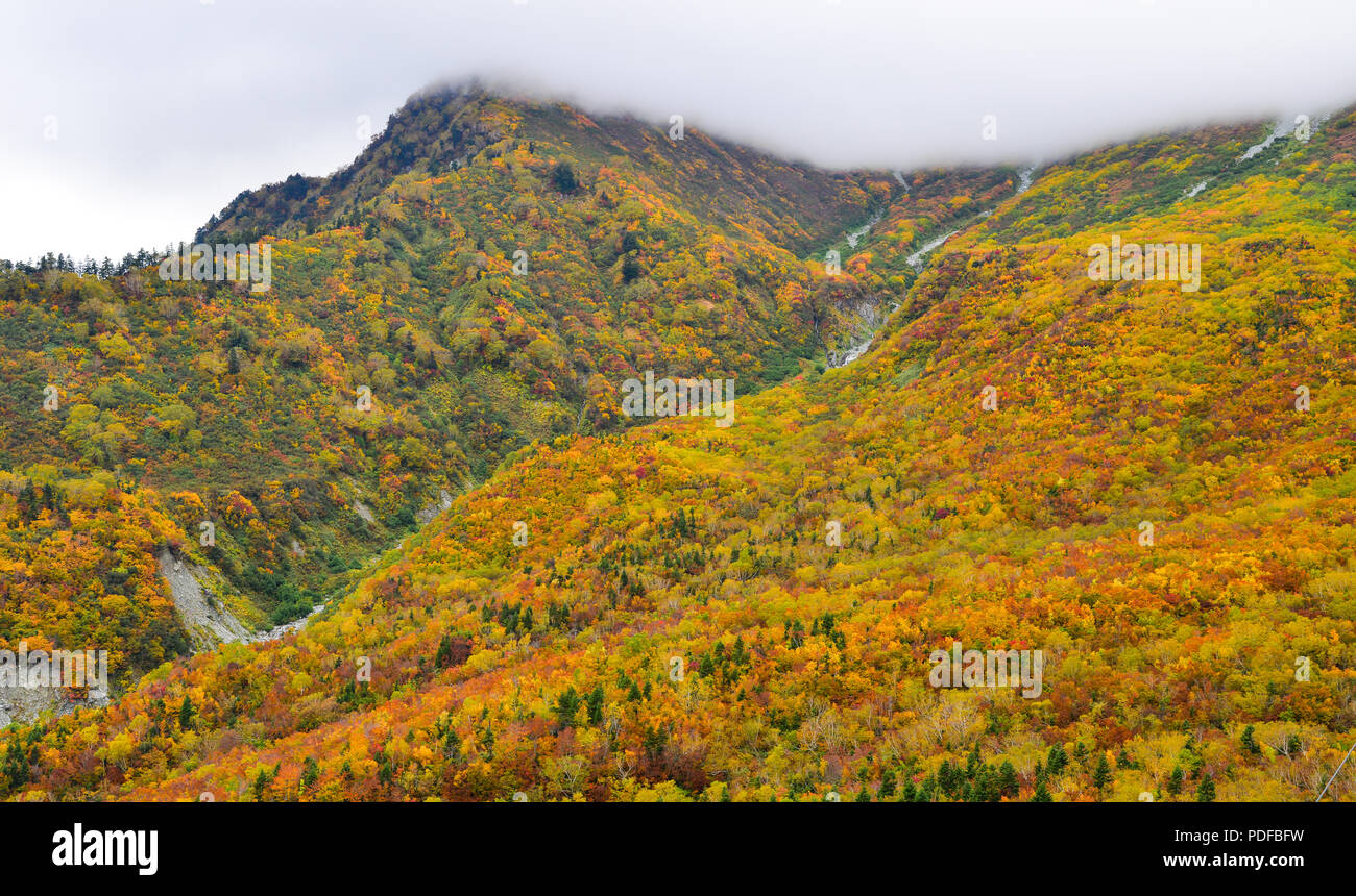 Mountain scenery at autumn in Tateyama Kurobe Alpine Route, Japan Stock ...