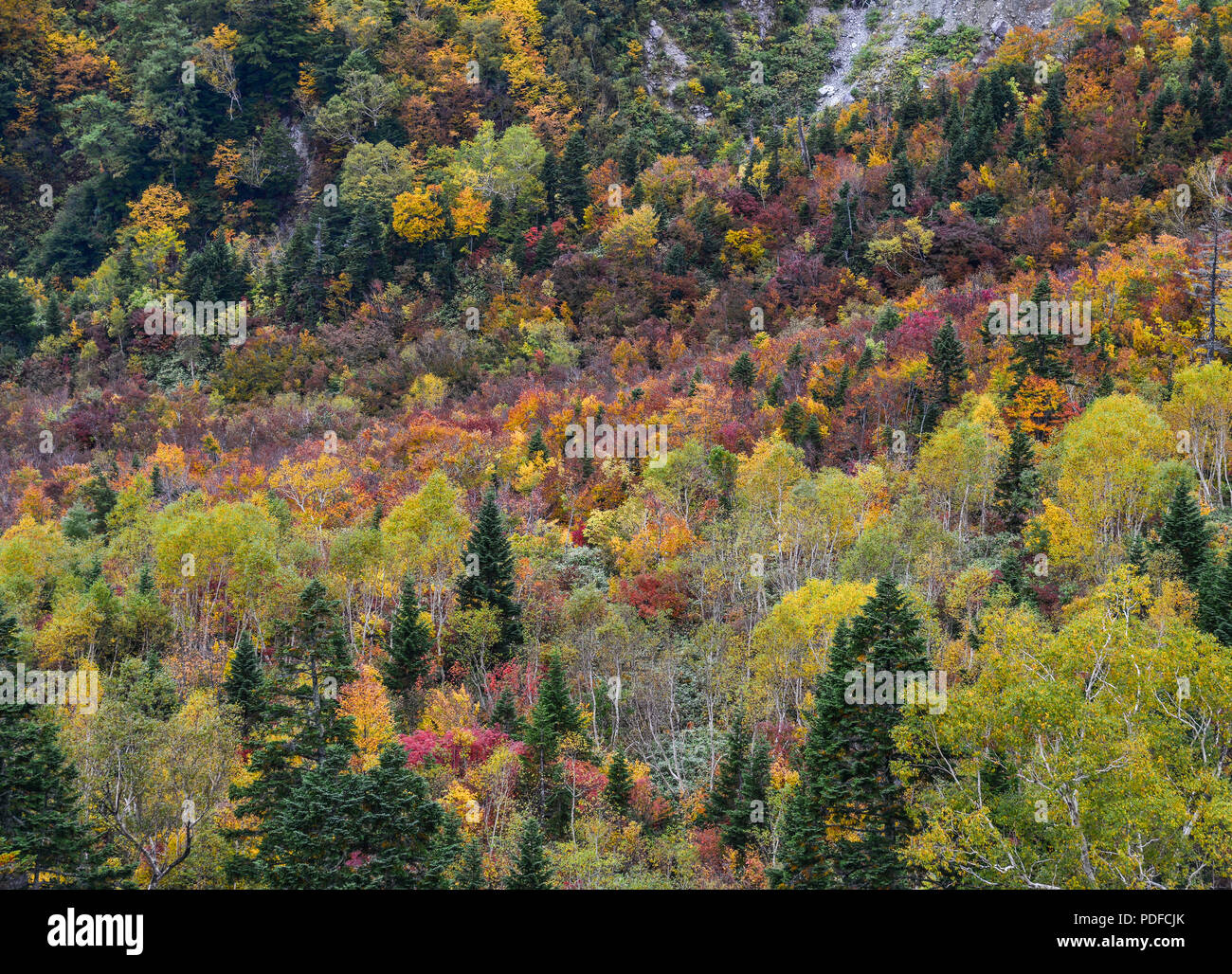 Autumn tateyama kurobe alpine route hi-res stock photography and images ...