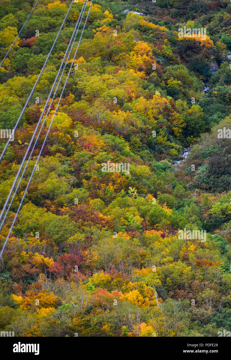 Mountain scenery at autumn in Tateyama Kurobe Alpine Route, Japan Stock ...
