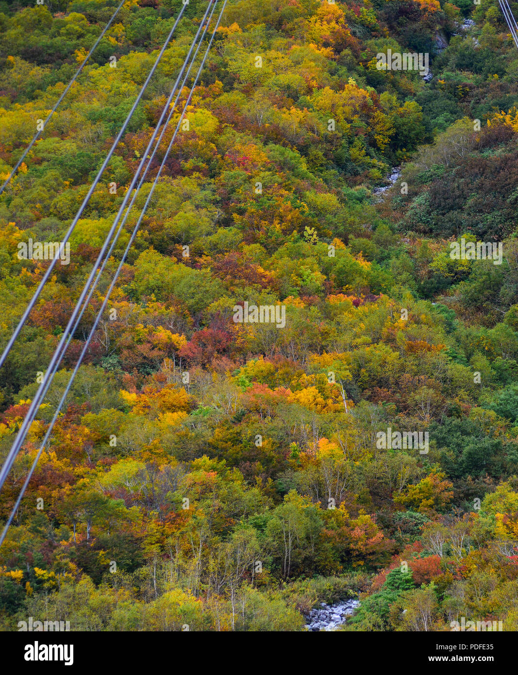 Mountain scenery at autumn in Tateyama Kurobe Alpine Route, Japan Stock ...