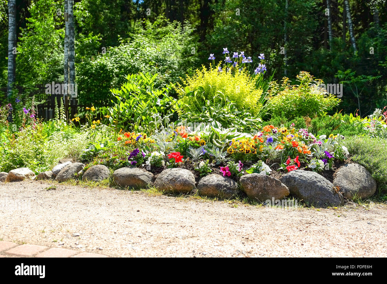 Landscape design. Bushes, rocks Dwarf spruce Flowers Fern Stock Photo ...