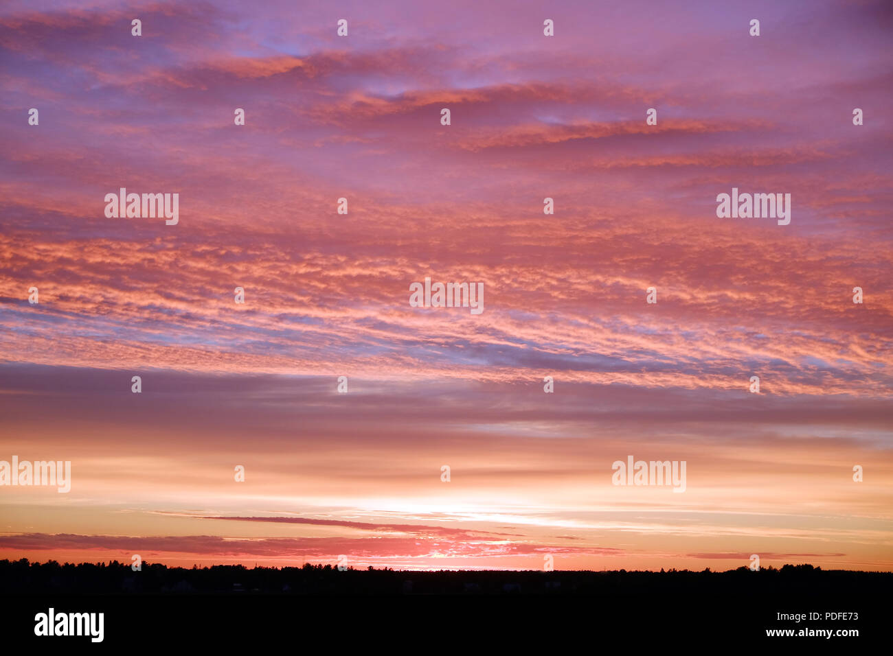 Interchange of the highway. Dramatic sky, fiery sunset. The lights on ...
