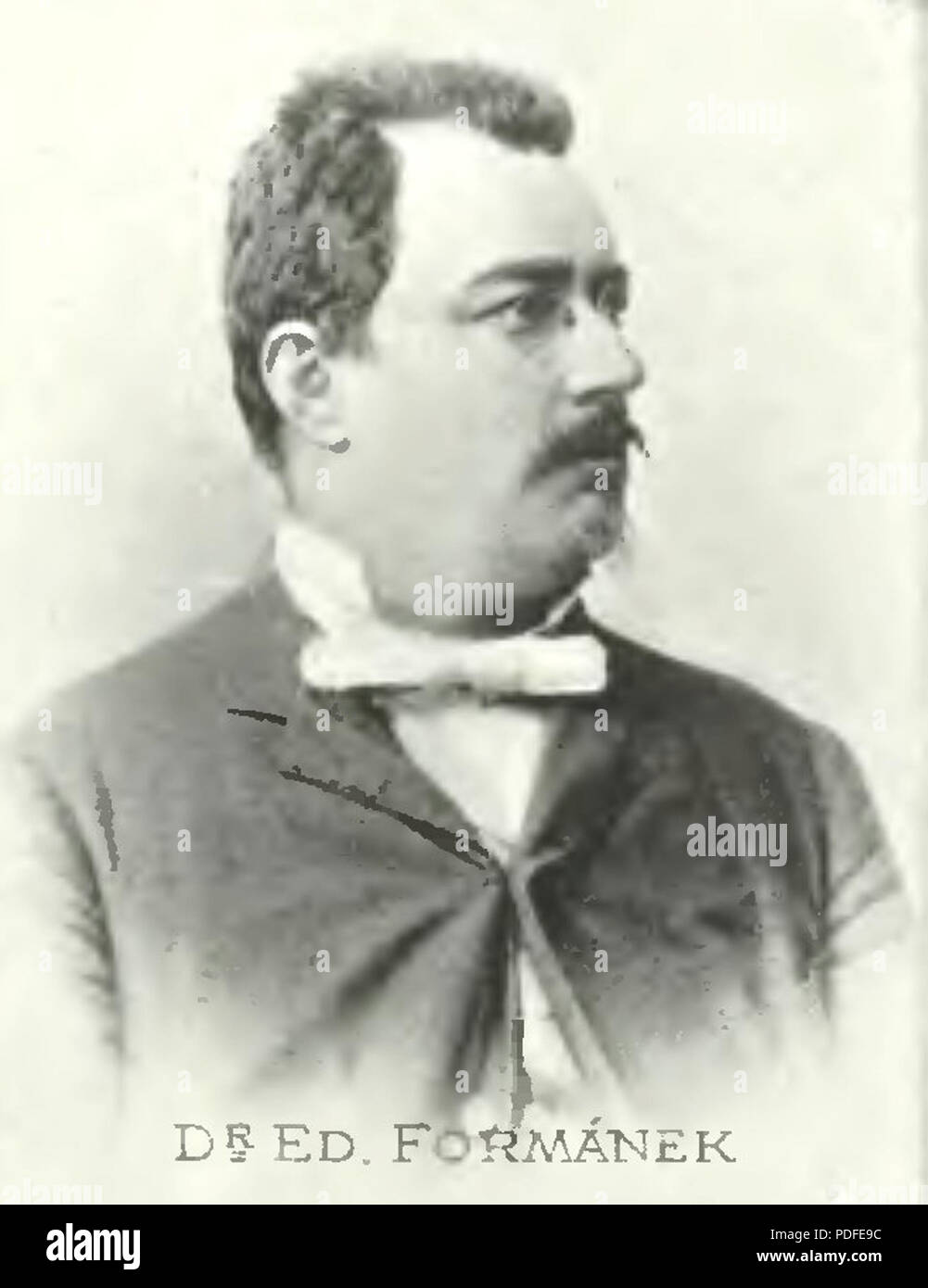 Formanek hi-res stock photography and images - Alamy