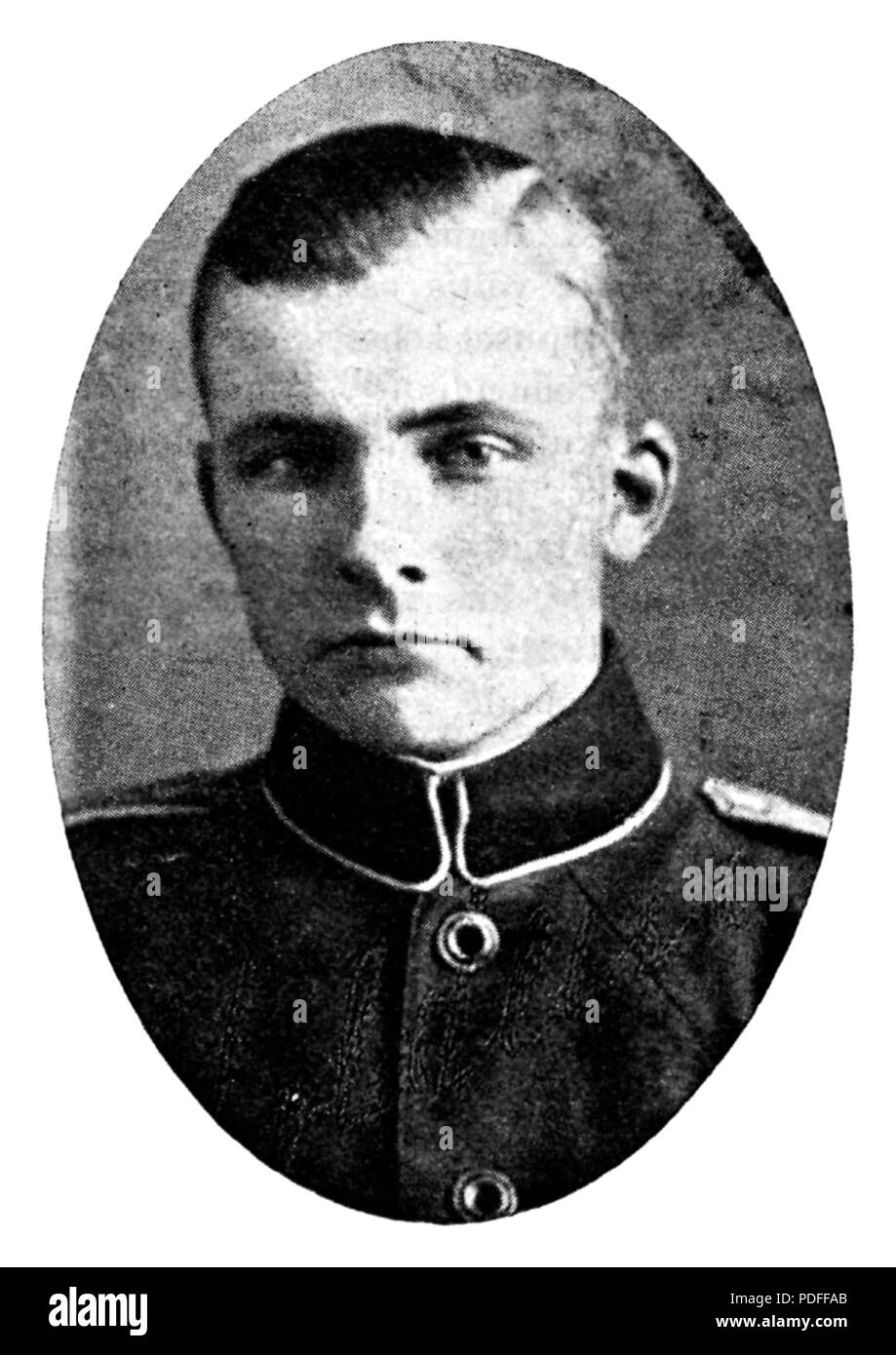 Holstein portrait Cut Out Stock Images & Pictures - Alamy