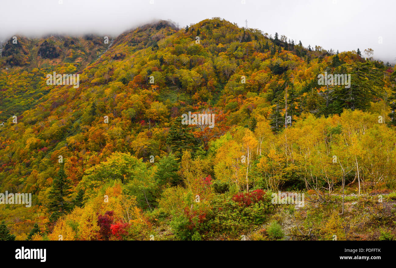 Mountain scenery at autumn in Tateyama Kurobe Alpine Route, Japan Stock ...