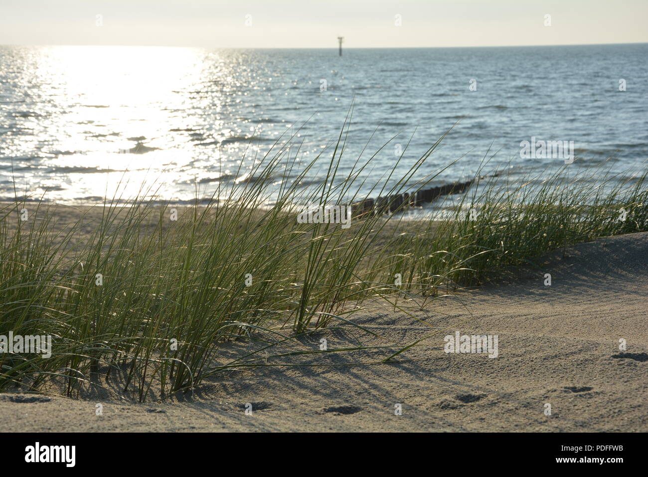 Beach with sand, marsh grass and wooden stages on the North Sea at ...