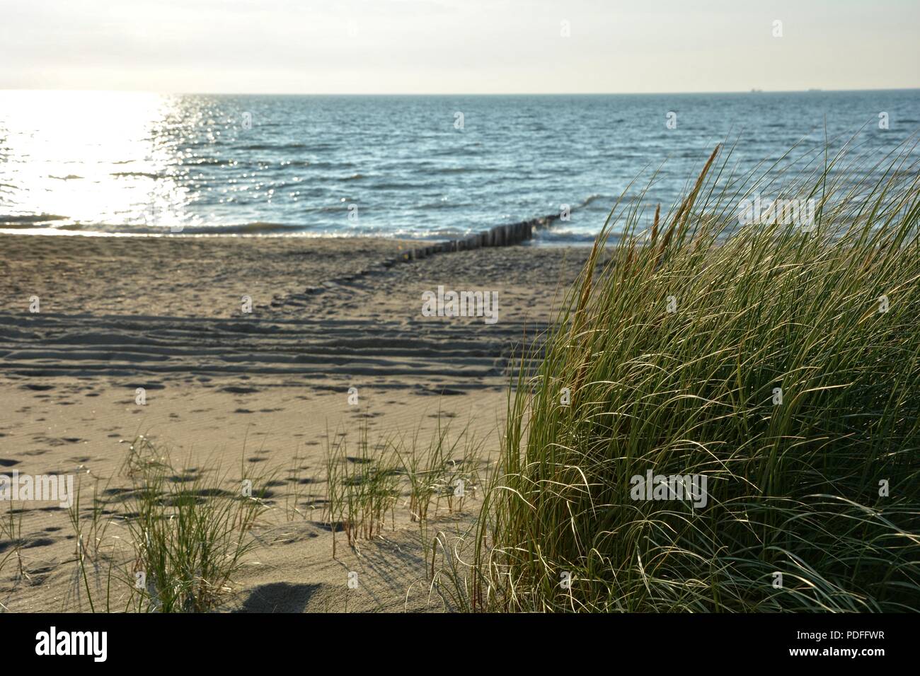 Beach with marsh grass and wooden stages on the North Sea at sunset ...