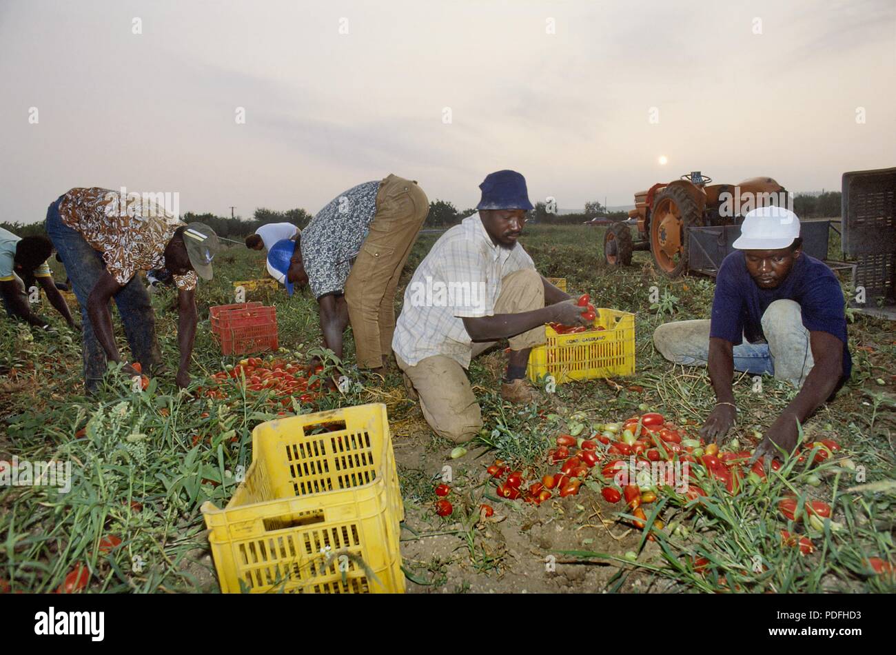 Illegal immigration illegal workers hi-res stock photography and images ...