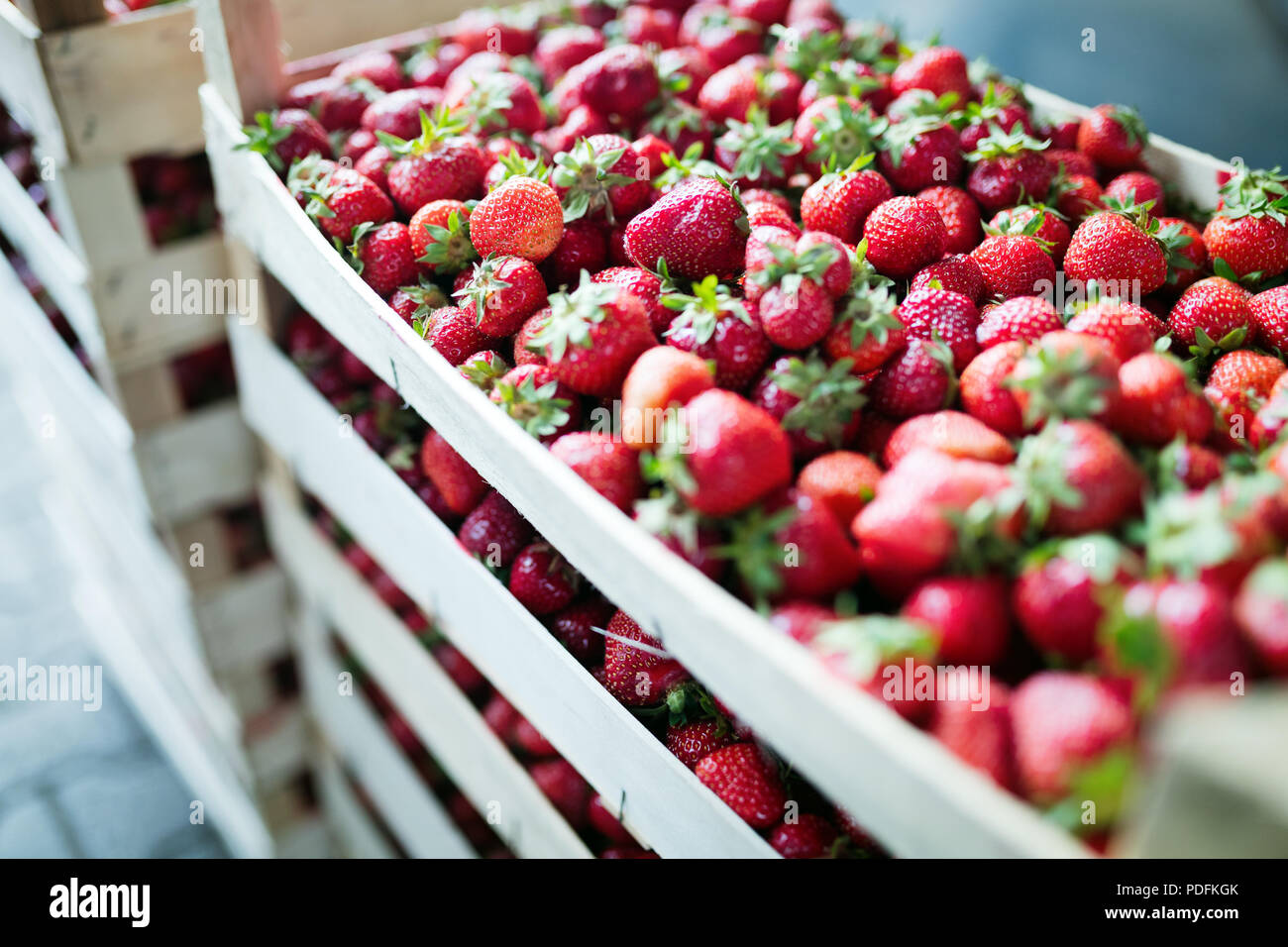 Strawberries plant box hi-res stock photography and images - Alamy