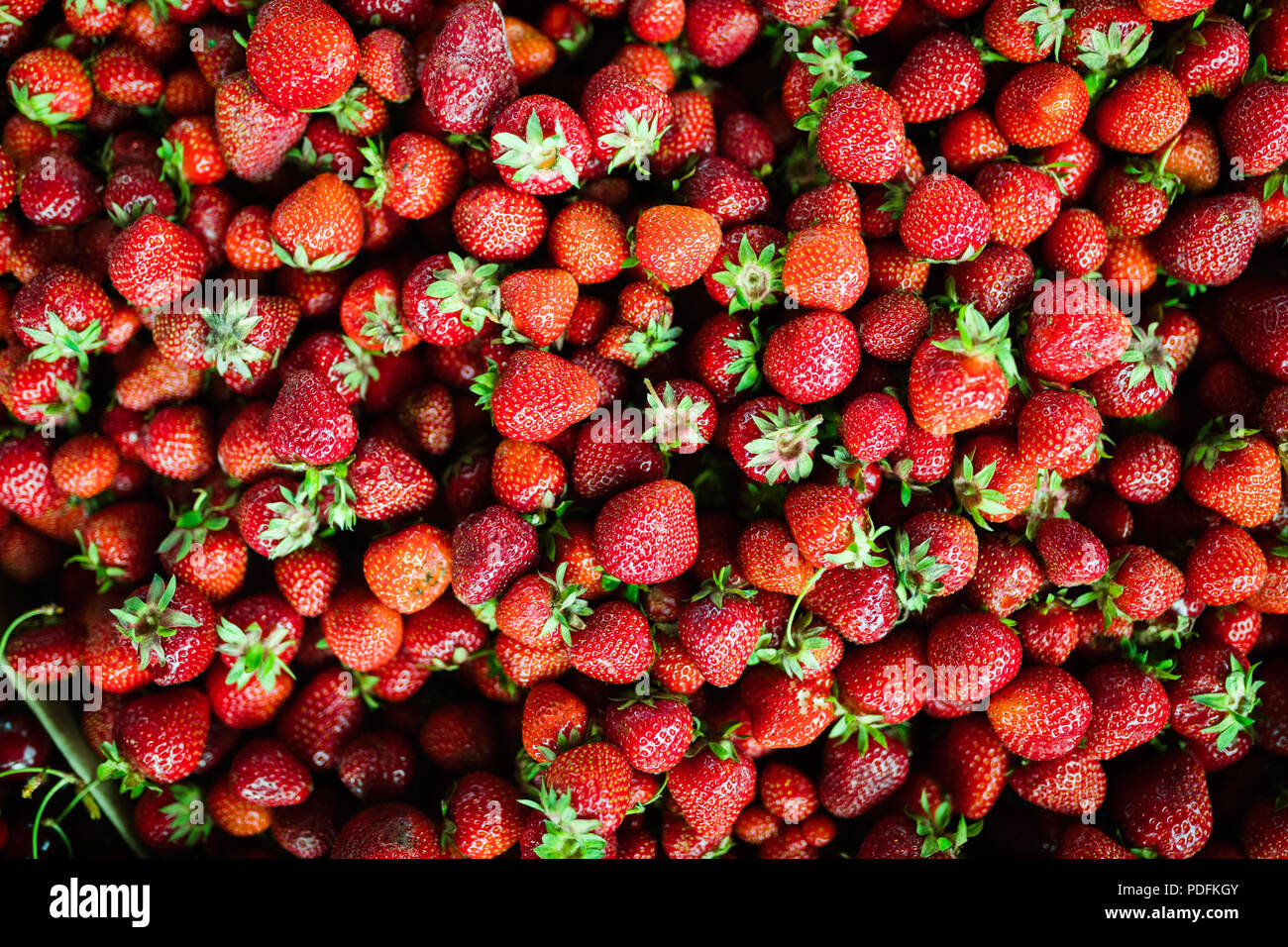 Fresh local strawberries hi-res stock photography and images - Alamy