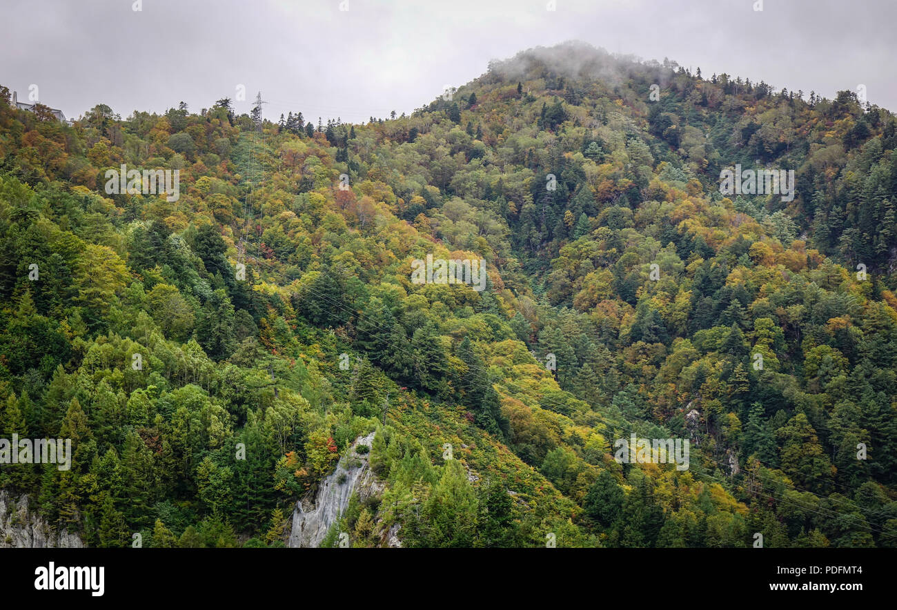 Mountain scenery at autumn in Tateyama Kurobe Alpine Route, Japan Stock ...