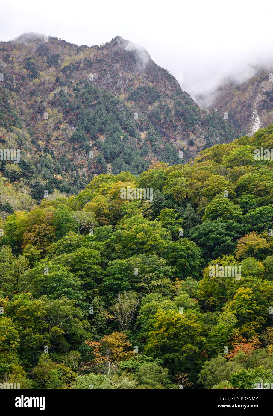 Mountain scenery at autumn in Tateyama Kurobe Alpine Route, Japan Stock ...