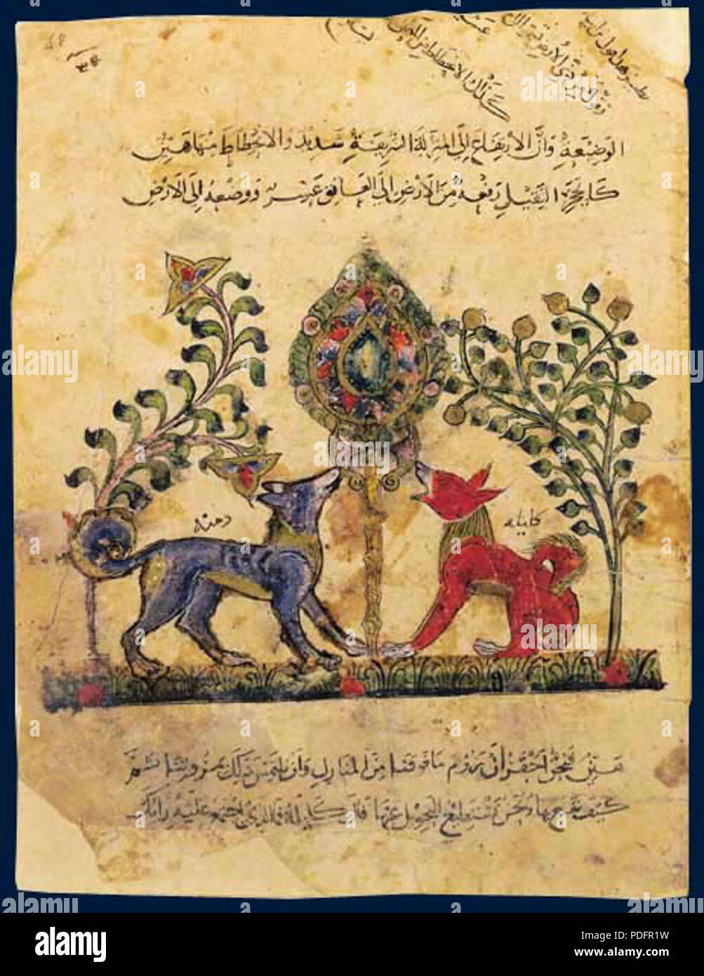 Kalila hi-res stock photography and images - Alamy