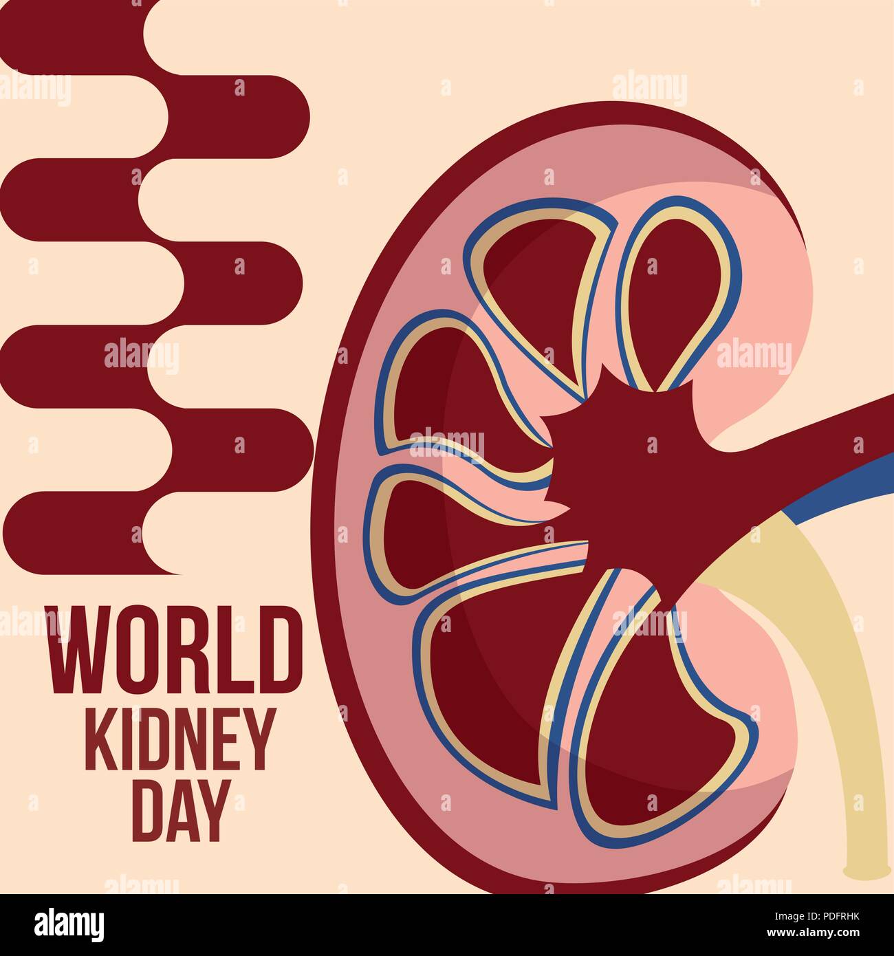 Chronic kidney disease Stock Vector Images - Alamy