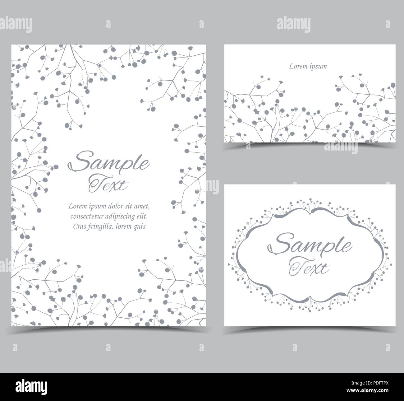 Vector illustration of gypsophila flower. White background with flowers ...