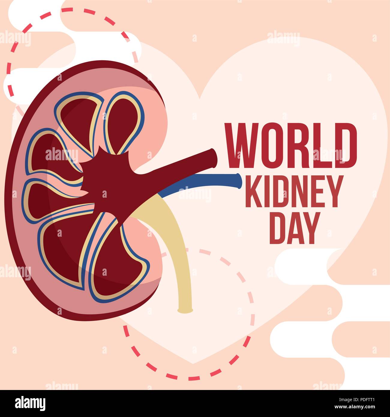 world kidney day Stock Vector Image & Art - Alamy