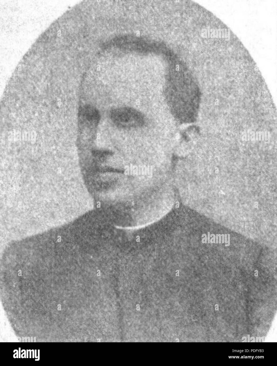 Folis hi-res stock photography and images - Alamy