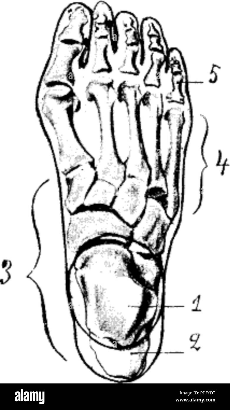 131 Black and White Stock Photos & Images - Alamy