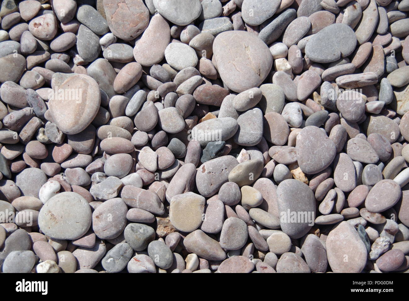 Natural Background of Rounded Beach Pebbles. Sidmouth Beach, East Devon ...