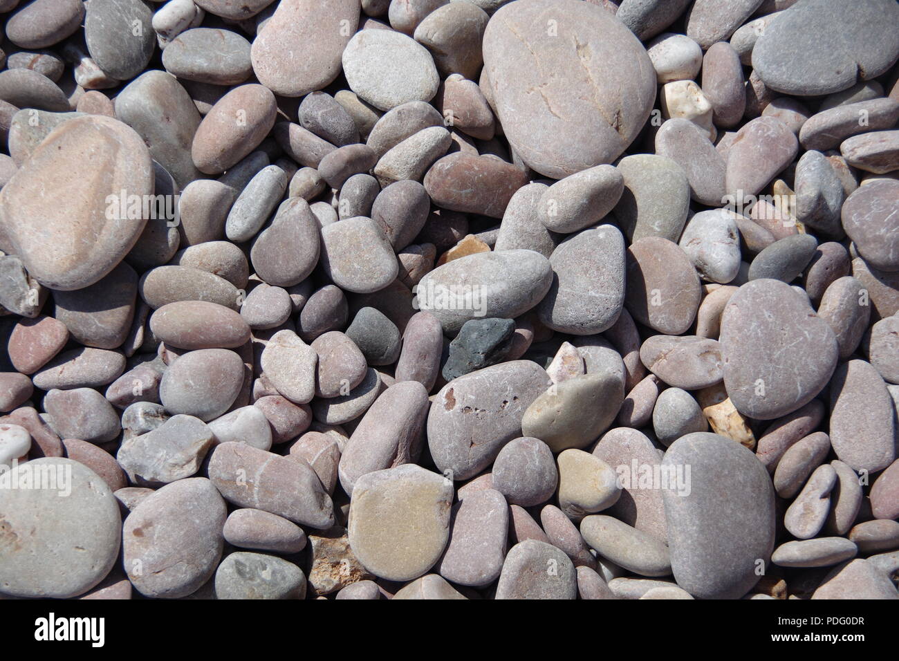 Natural Background of Rounded Beach Pebbles. Sidmouth Beach, East Devon ...