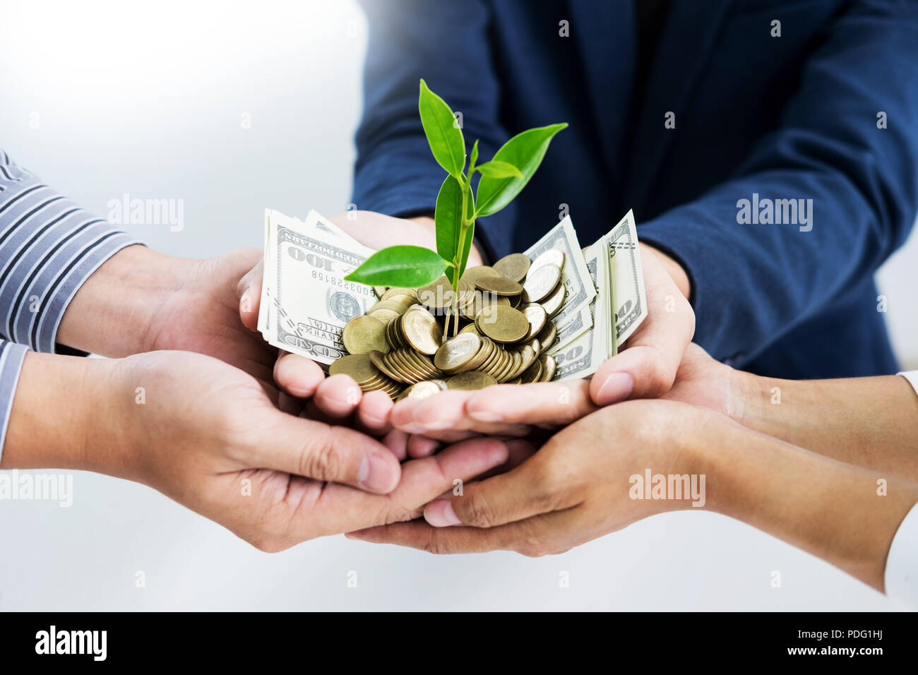 Business man hand make palm up with growing up money coins and sprout ...
