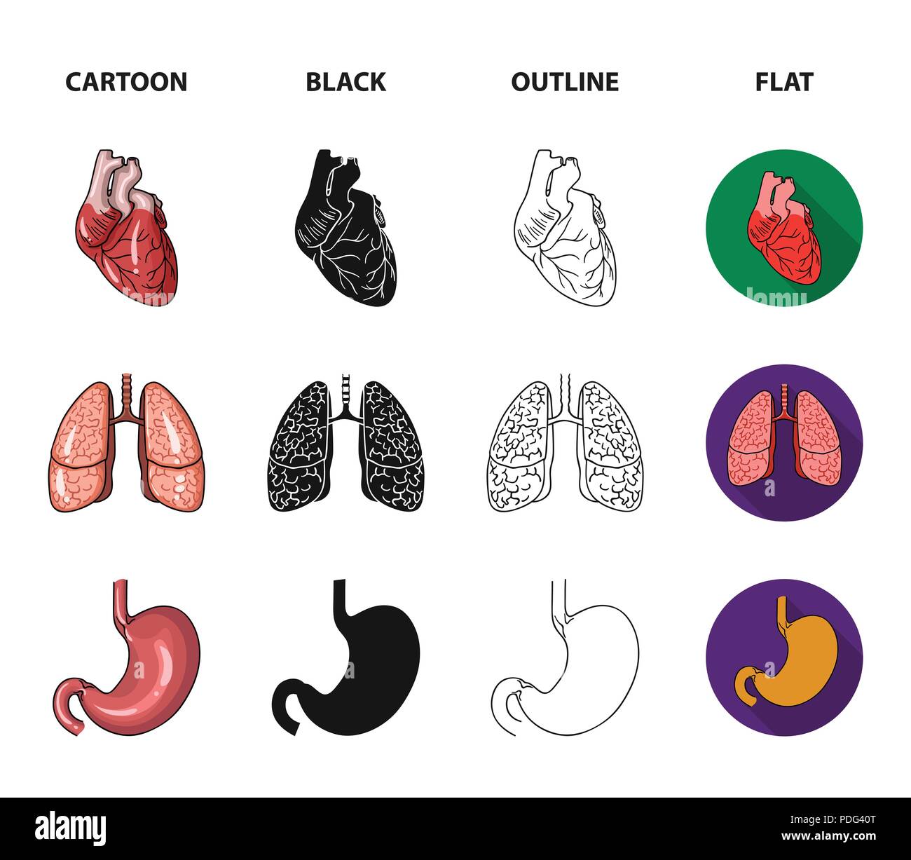Heart, lungs, stomach, pancreas. Human organs set collection icons in ...