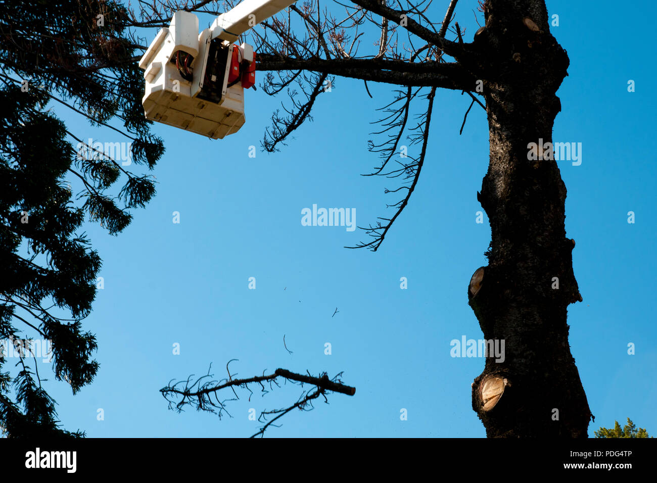 Bucket lift hi-res stock photography and images - Alamy