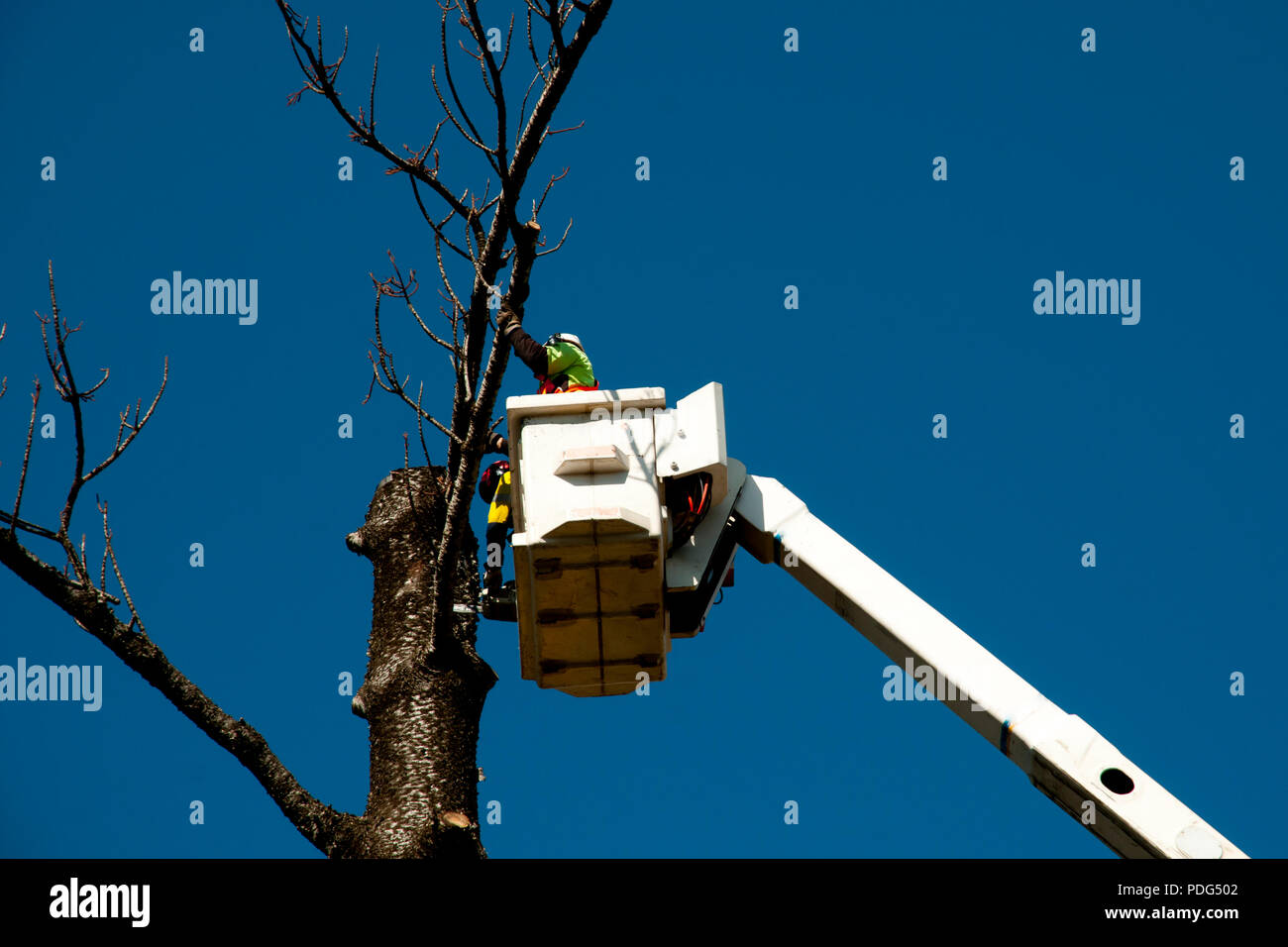 Bucket lift hi-res stock photography and images - Alamy