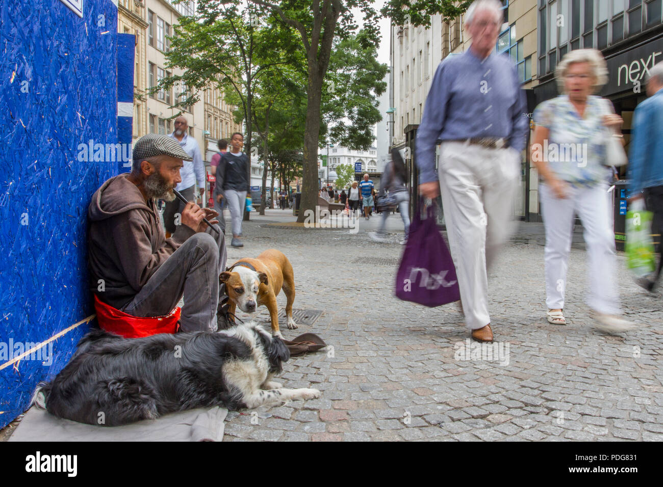 Homeless street artist dogs in hi-res stock photography and images - Alamy