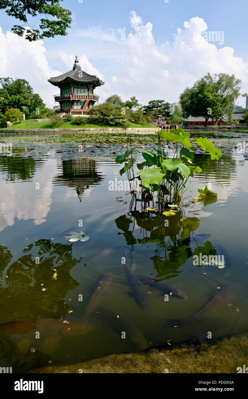 Gyeongbokgung palace pond with fishes during summer. Typical ...