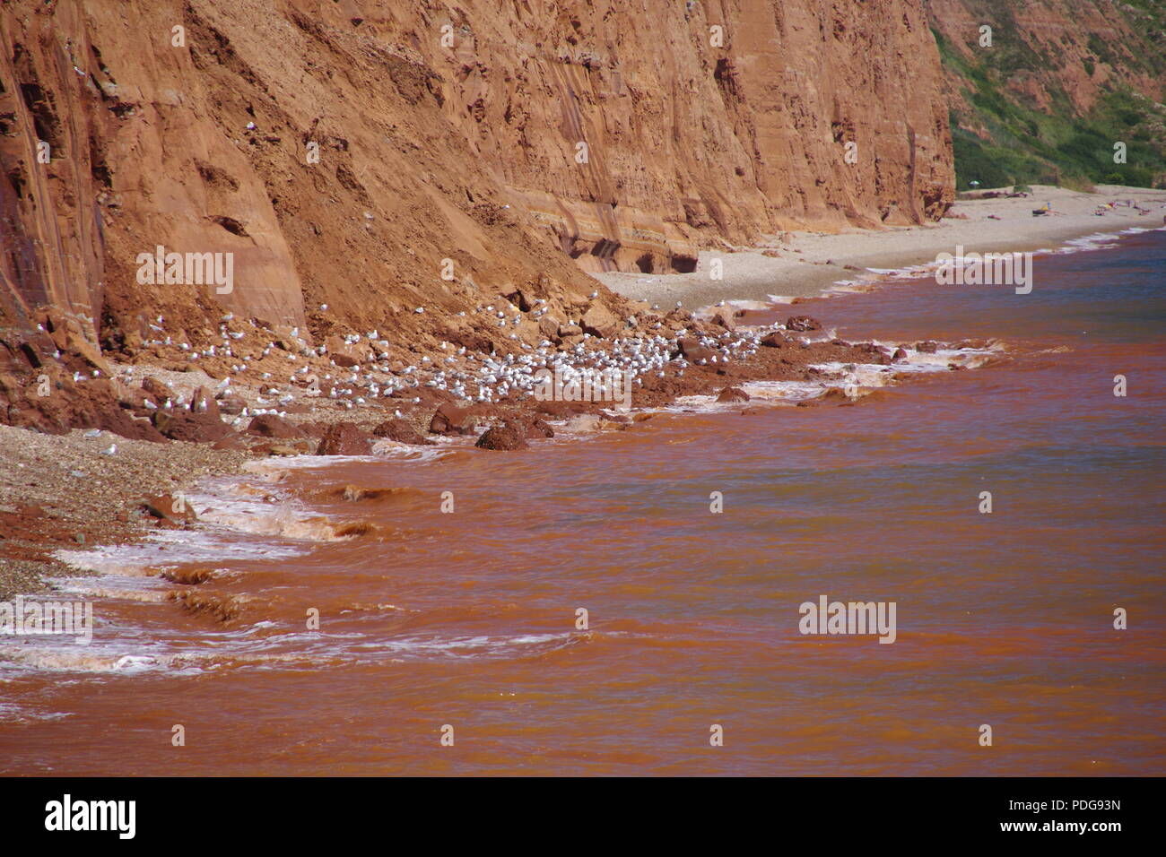 Red Sea Cliffs of Triassic Helsby Sandstone Formation, at Sidmouth ...