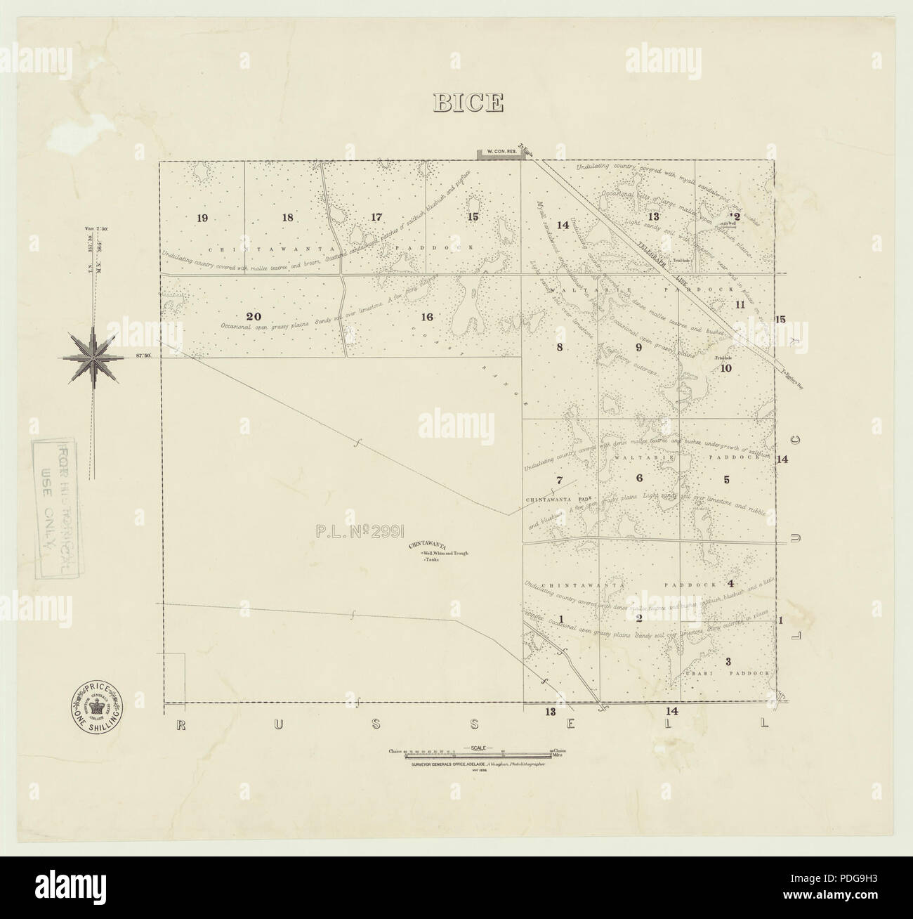 Bice hi-res stock photography and images - Alamy