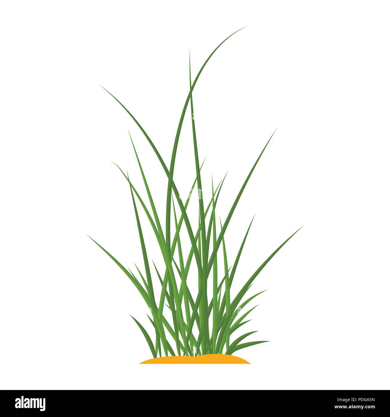 Bunches of green grass on an earthen mound Stock Vector Image & Art - Alamy