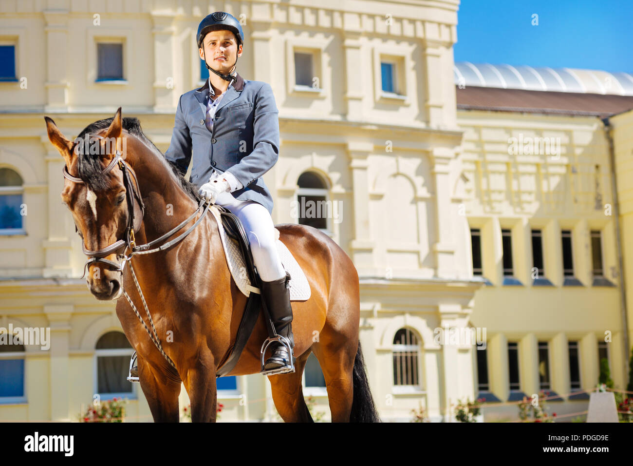 Equestrian hi-res stock photography and images - Alamy