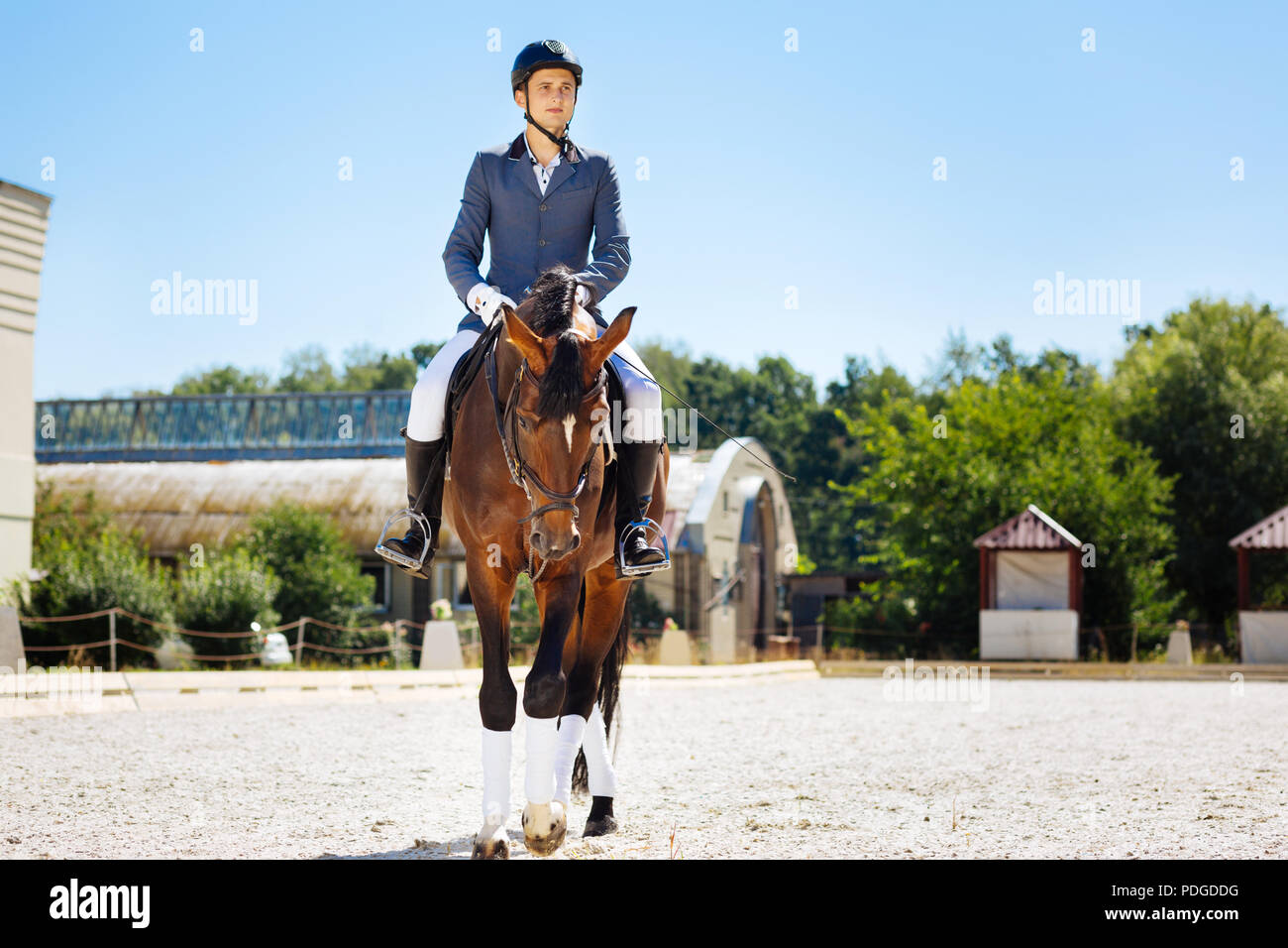 Equestrian training sportswoman horse hi-res stock photography and ...