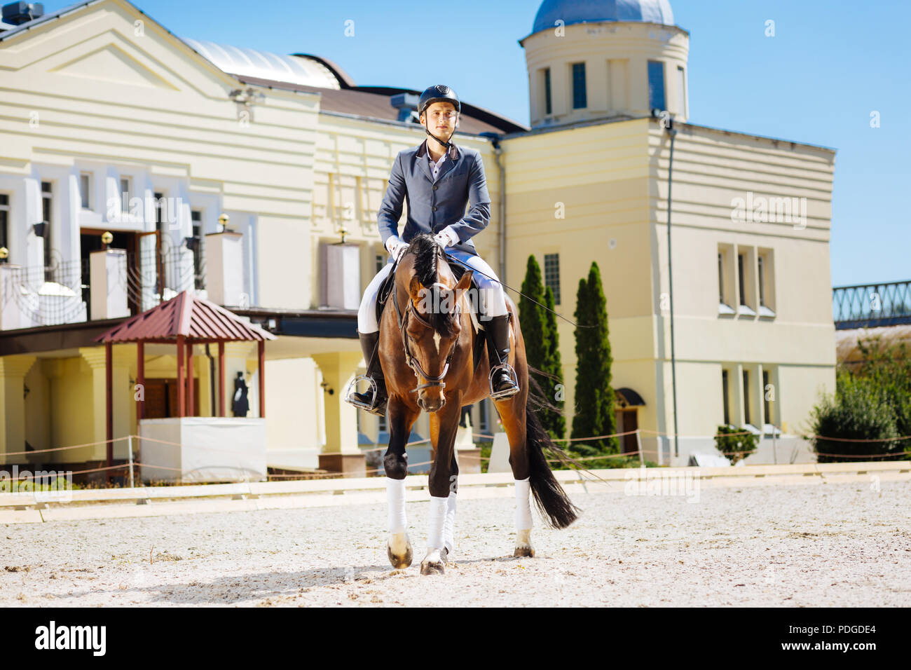 Professional equestrian sport hi-res stock photography and images - Alamy