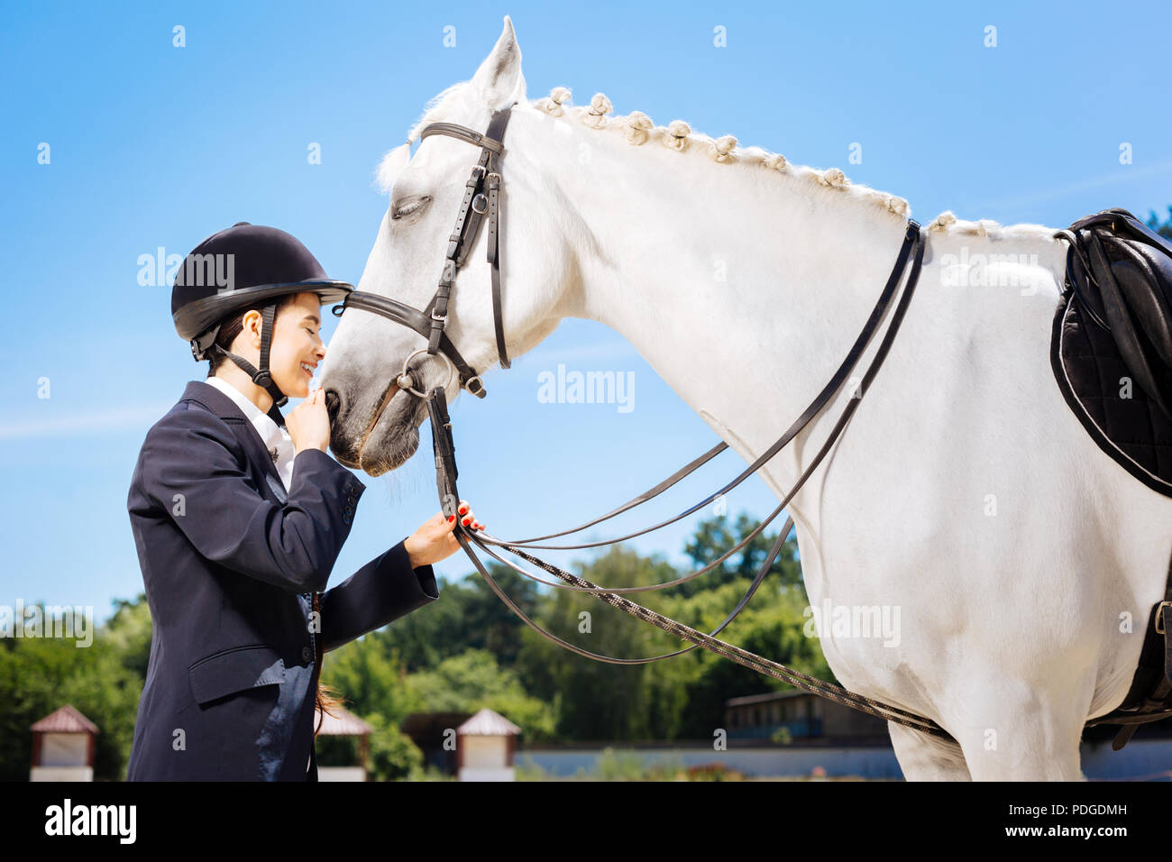 Loving your horse hi-res stock photography and images - Alamy