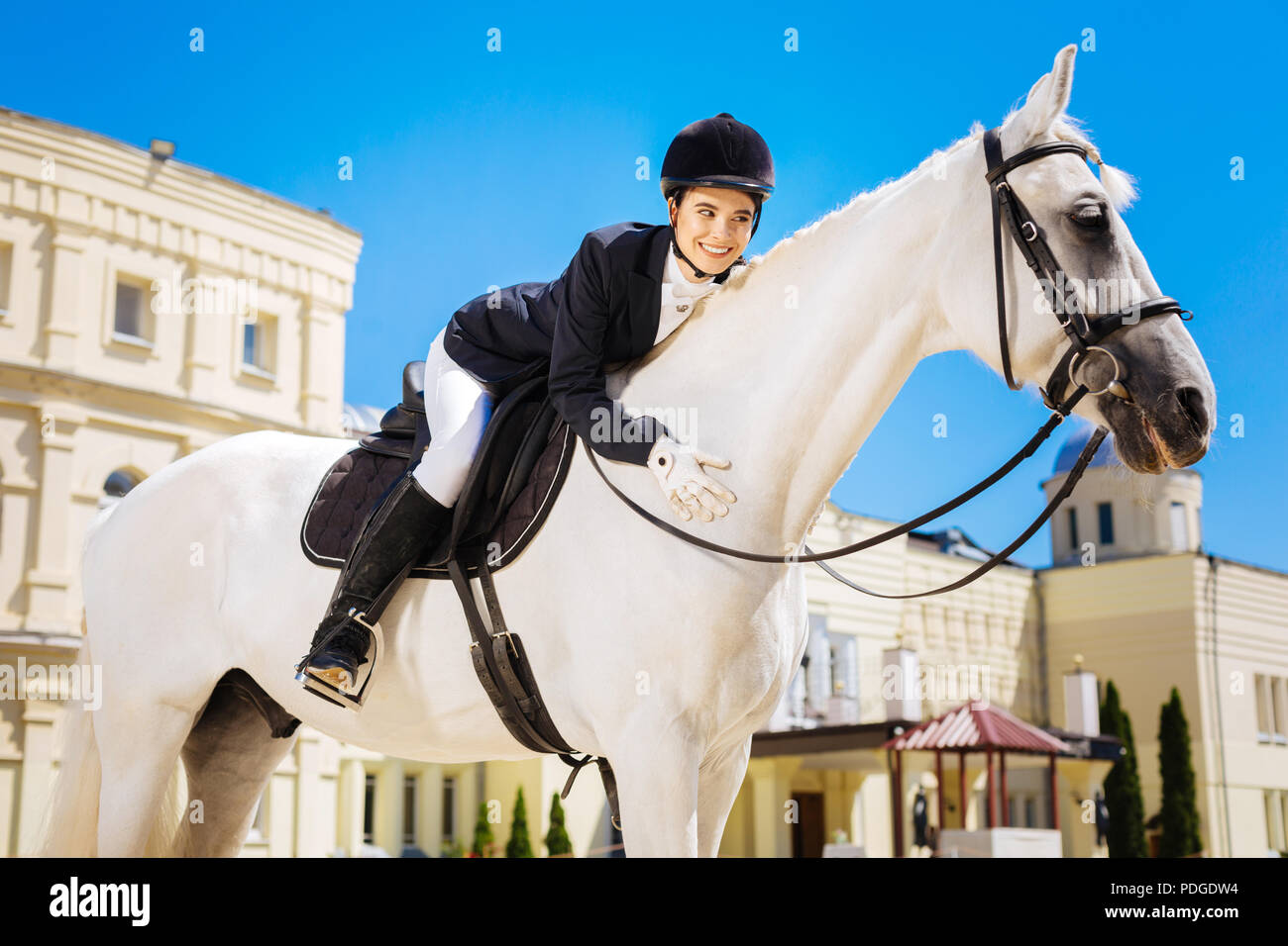 Happy Horse Rider High Resolution Stock Photography and Images - Alamy