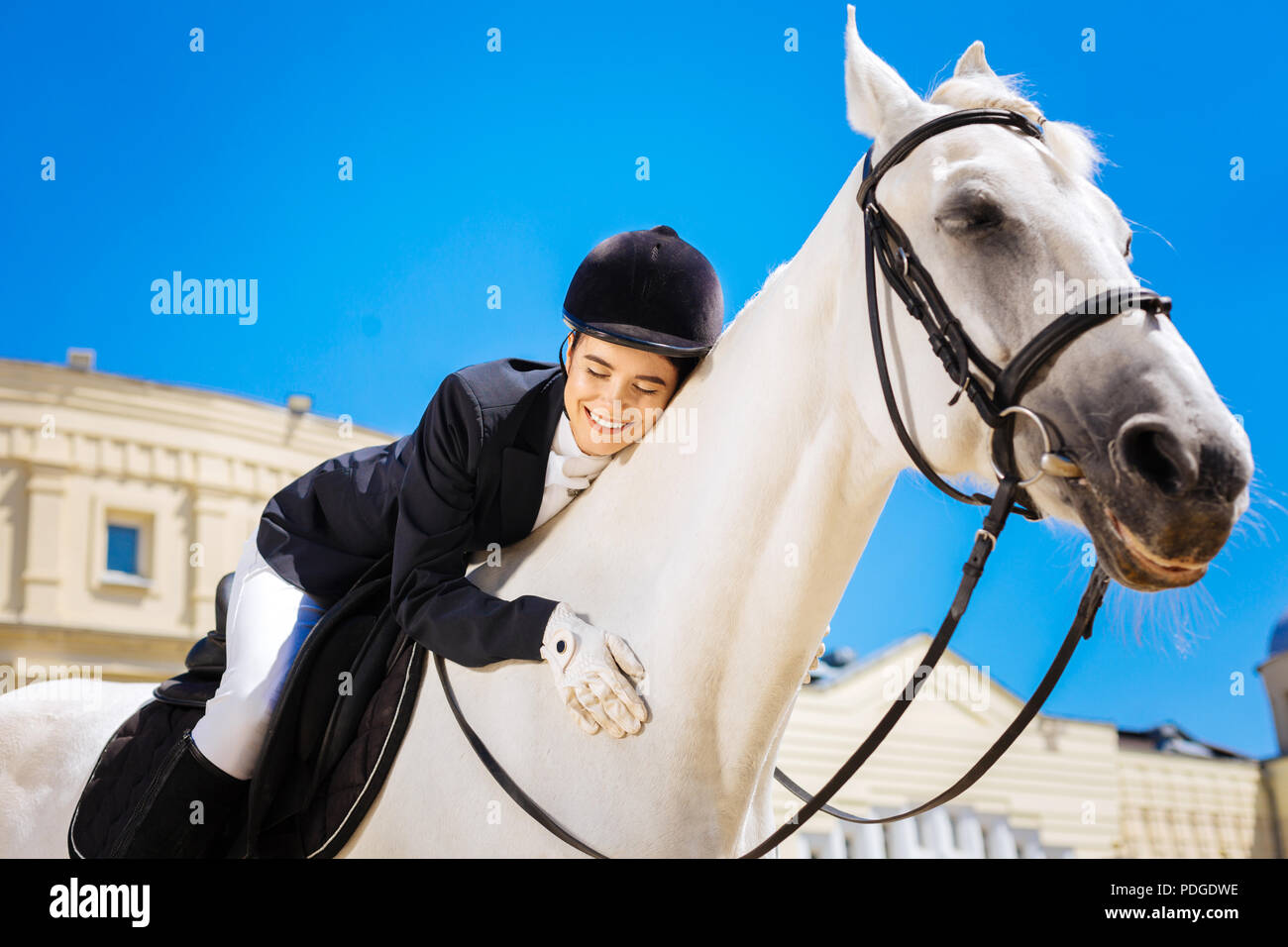 Smiling female rider loving her white horse greatly Stock Photo - Alamy