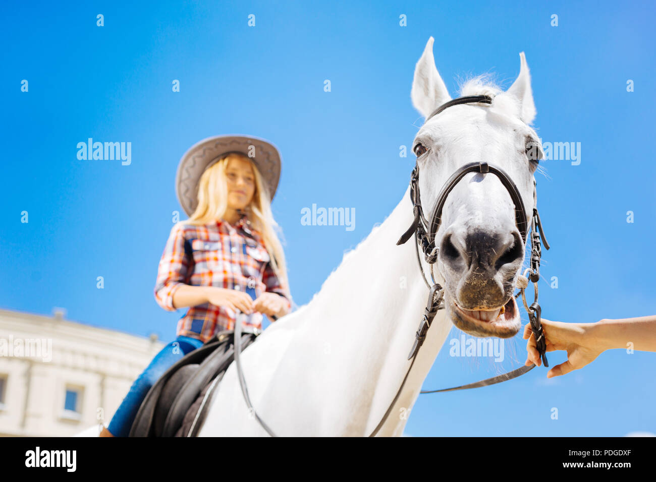 Horse Riding Lesson High Resolution Stock Photography and Images - Alamy