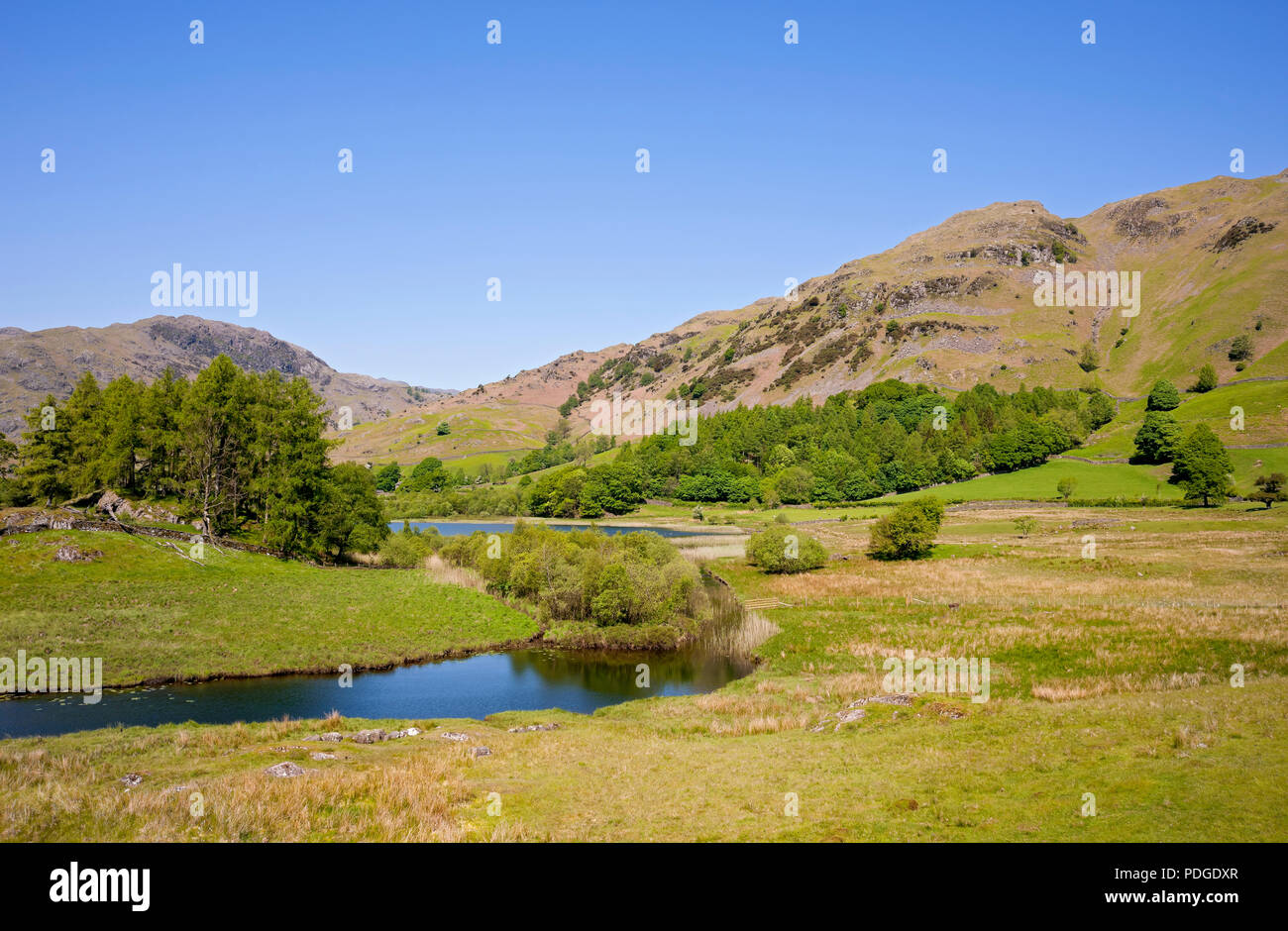 Lingmoor fell hi-res stock photography and images - Alamy