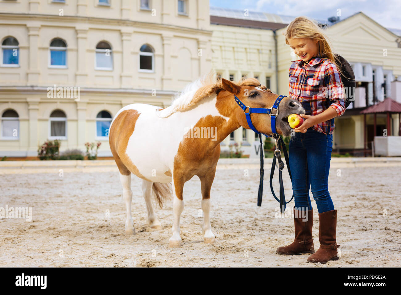 Horse eating apple hi-res stock photography and images - Alamy