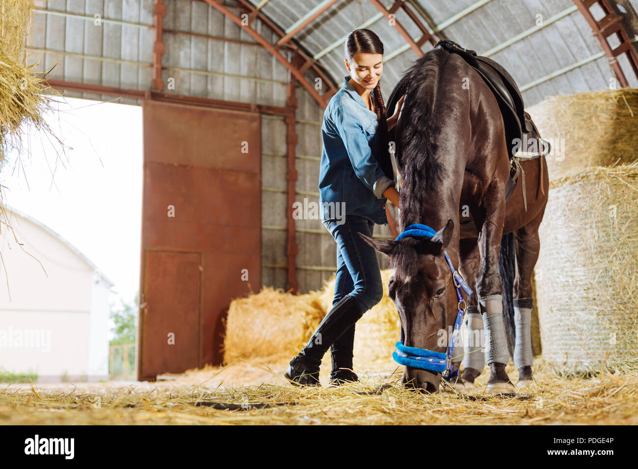 Good rider hi-res stock photography and images - Alamy