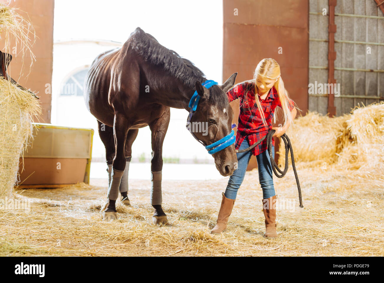 Stable girl leading horse horse hi-res stock photography and images - Alamy