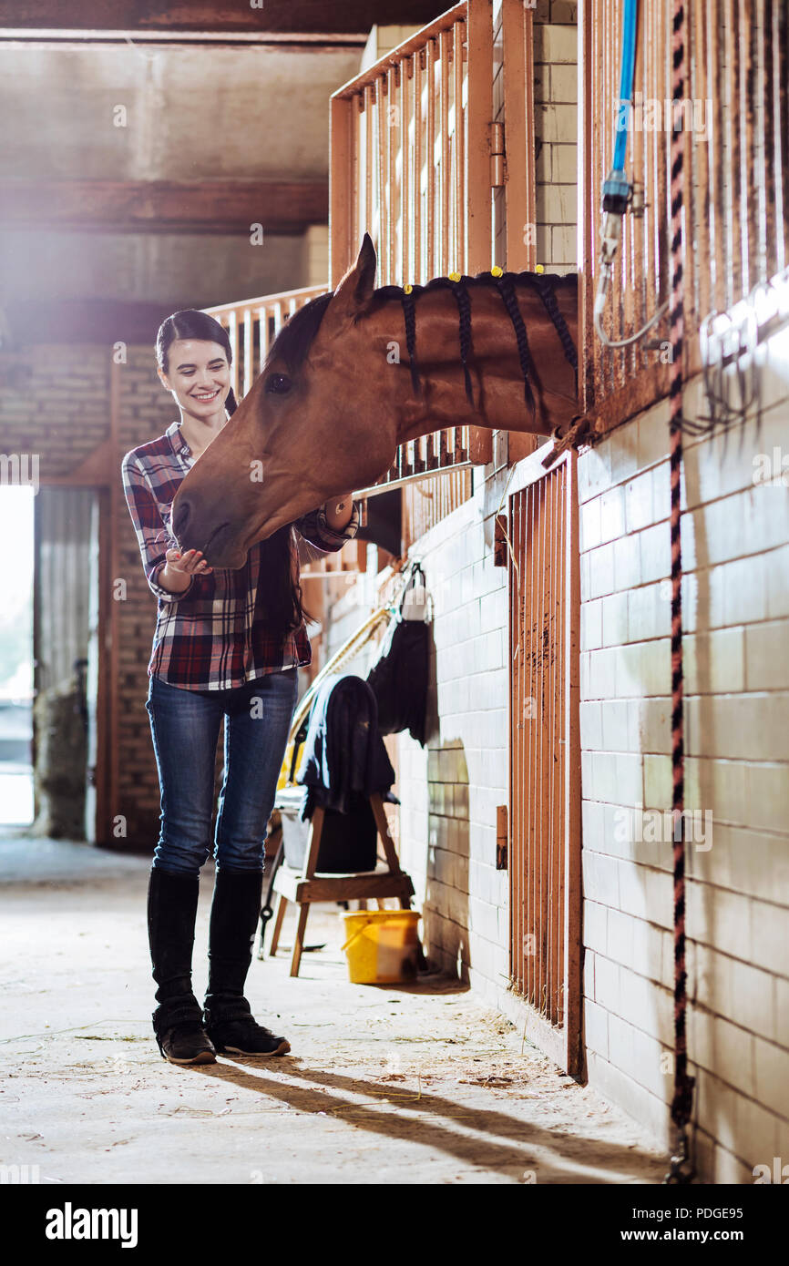 Caring horsewoman coming to stable for cleaning horse Stock Photo - Alamy