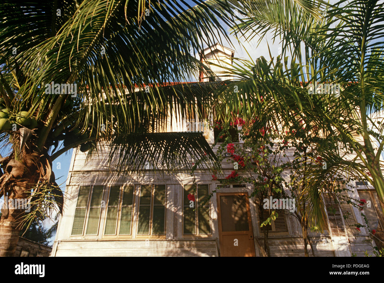Wooden clad house with flowers and palm trees, Belize City, Belize ...